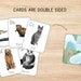 Animal Alphabet Flashcards Montessori Alphabet Resource Animal ABC ...