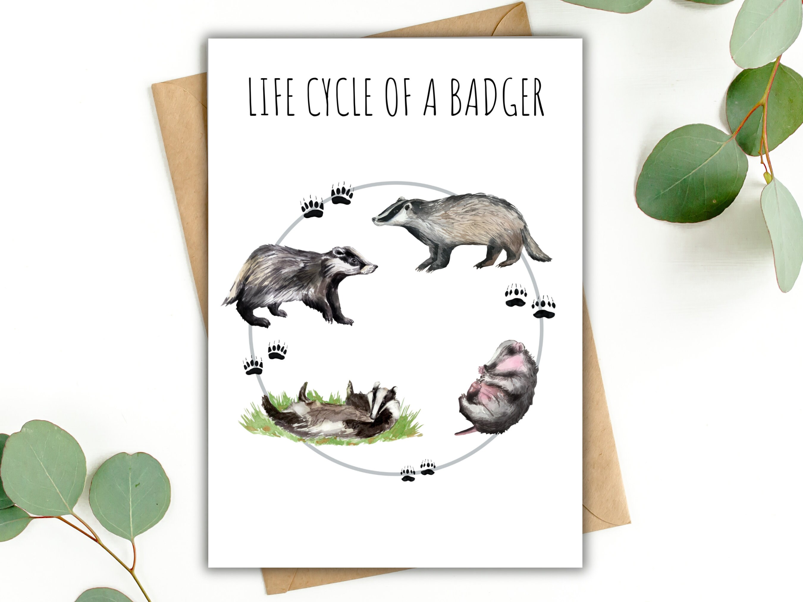 Life Cycle of a Badger Homeschool Printable Montessori Resource Life ...