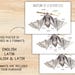Bat Anatomy of a Bat Homeschool Printable Montessori Resource Anatomy ...