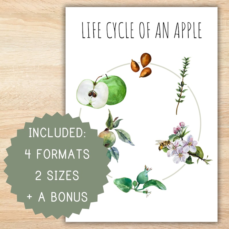 Apple Poster - Etsy