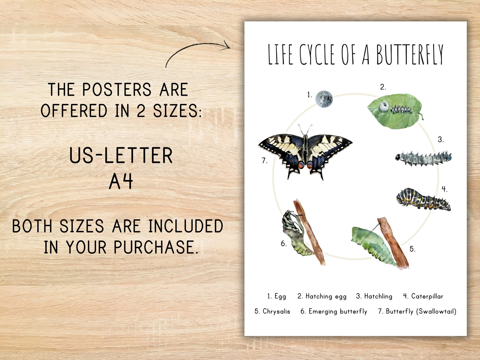 Life Cycle of a Butterfly Homeschool Printable Montessori Resource Life ...