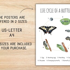 Life Cycle of a Butterfly Homeschool Printable Montessori Resource Life ...
