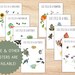 Life Cycle of a Butterfly Homeschool Printable Montessori Resource Life ...