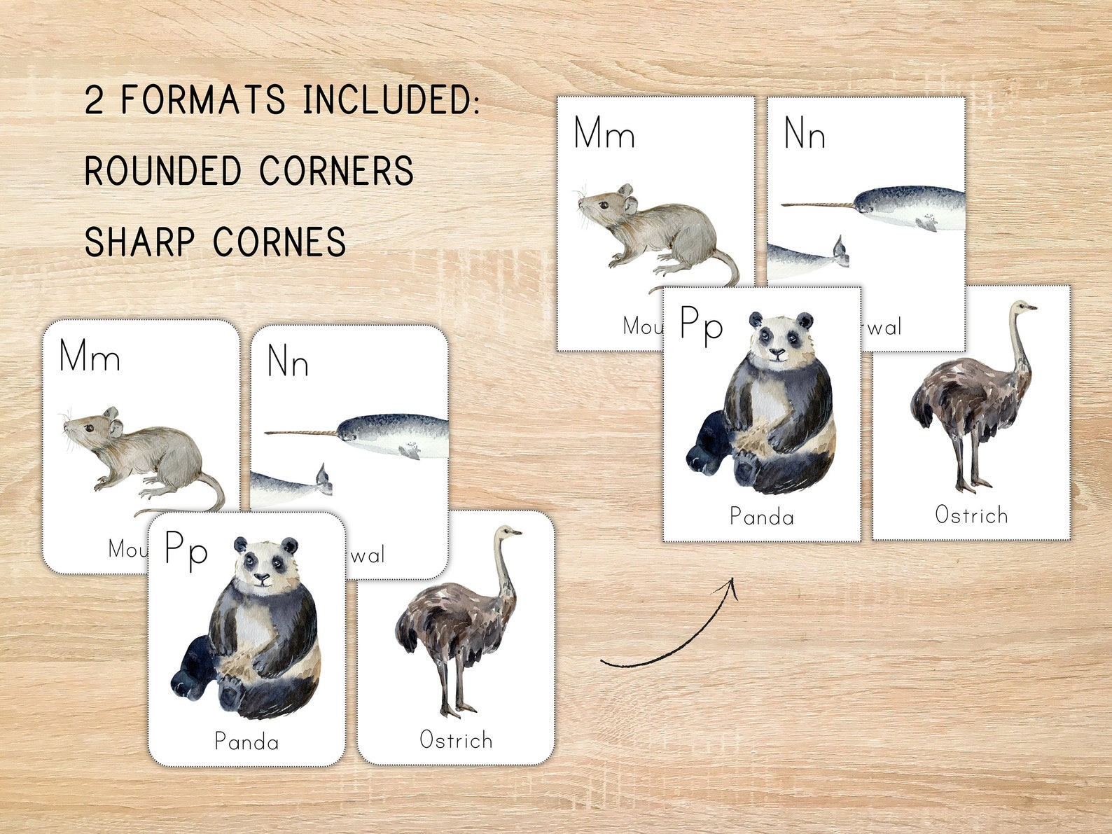 Animal Alphabet Flashcards Montessori Alphabet Resource Animal ABC ...