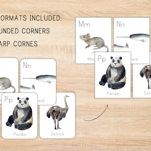 Animal Alphabet Flashcards Montessori Alphabet Resource Animal ABC ...