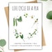 Life Cycle of a Pea Homeschool Printable Montessori Resource Life Cycle ...