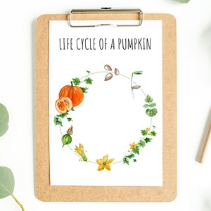 Life Cycle of a Pumpkin Homeschool Printable Montessori Resource Life ...