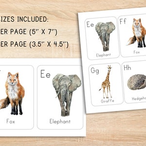Animal Alphabet Flashcards Montessori Alphabet Resource Animal ABC ...