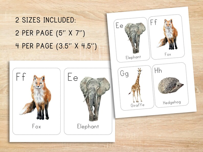 Animal Alphabet Flashcards Montessori Alphabet Resource Animal ABC ...