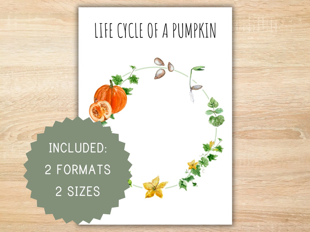 Life Cycle of a Pumpkin Homeschool Printable Montessori Resource Life ...