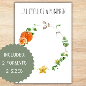 Life Cycle of a Pumpkin Homeschool Printable Montessori Resource Life ...