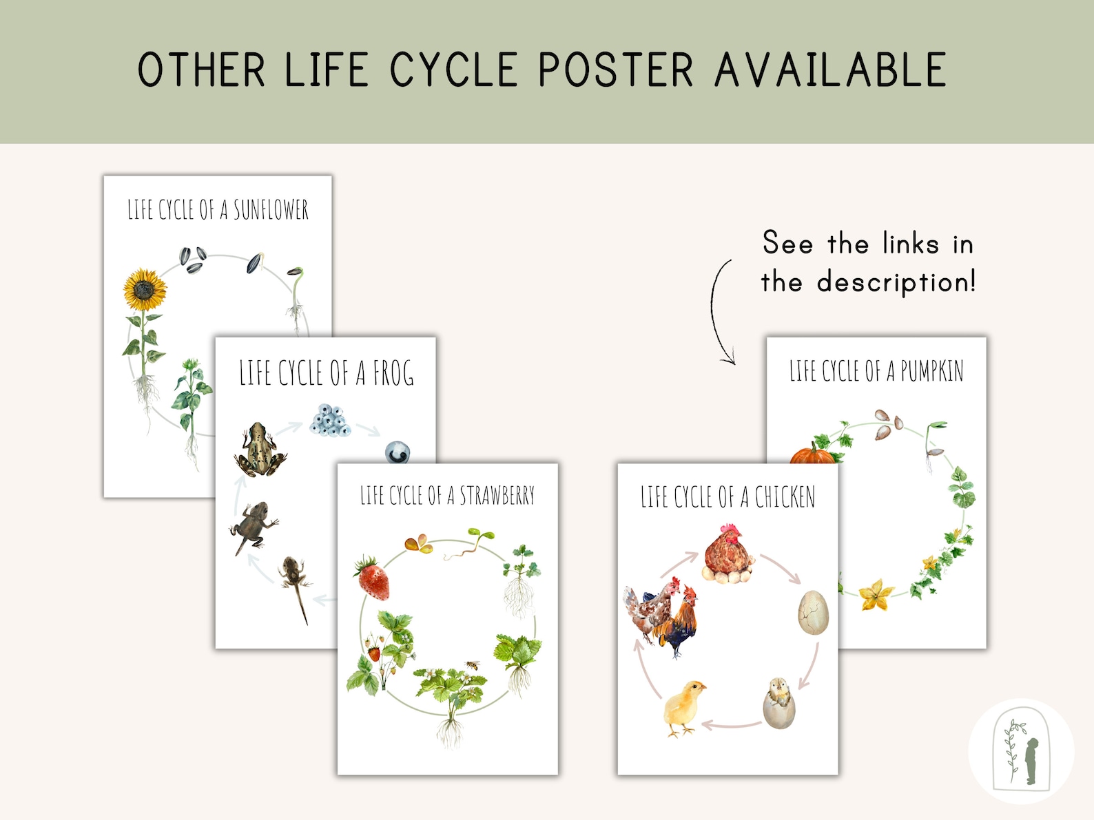 Life Cycle of a Pea Homeschool Printable Montessori - Etsy