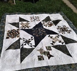 Double Vision, Queen Quilt, PDF Instant Download, Sampler Quilt - Etsy