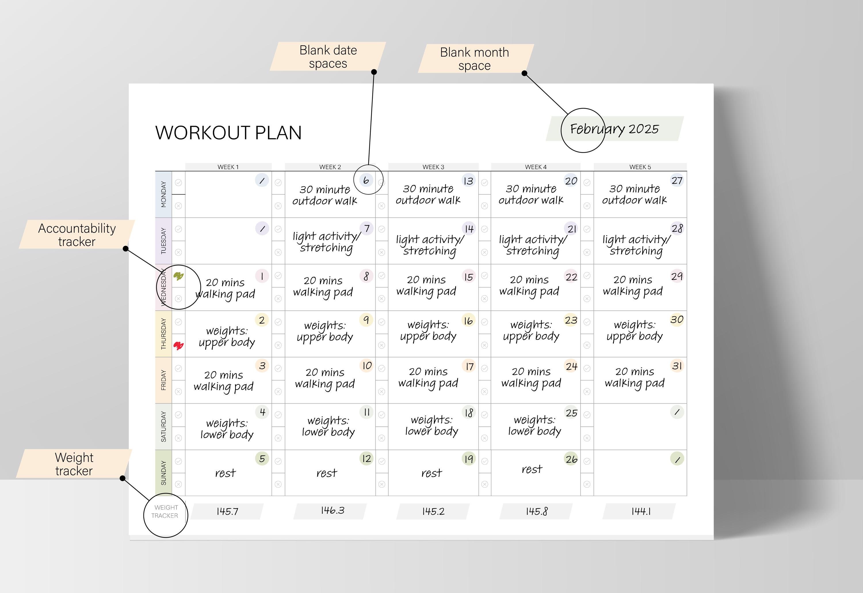 Simple Modern Monthly Workout Plan - Undated Printable Template - Etsy