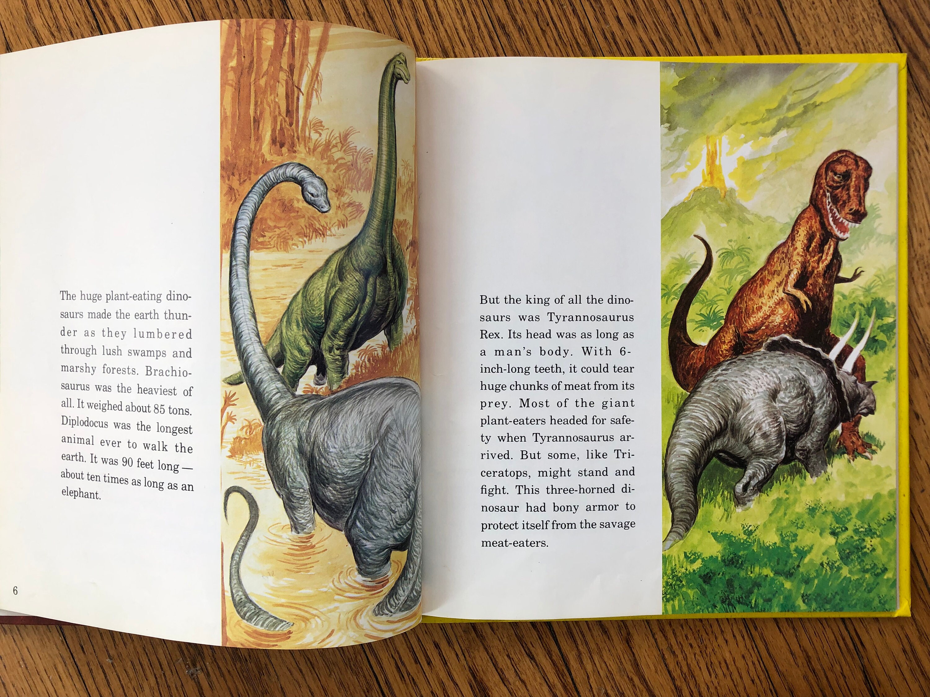 Vintage 80s Dinosaur Books Flying Dragons the Giant - Etsy