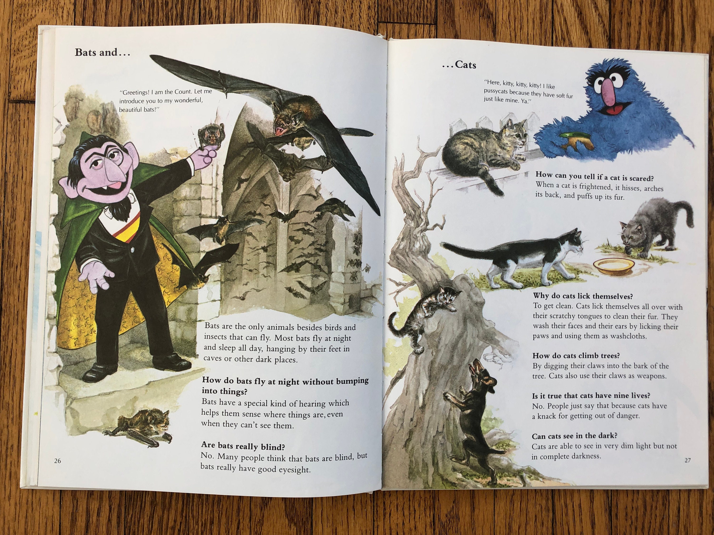 Vintage 1983 Golden Book Sesame Street Question and Answer Book About ...