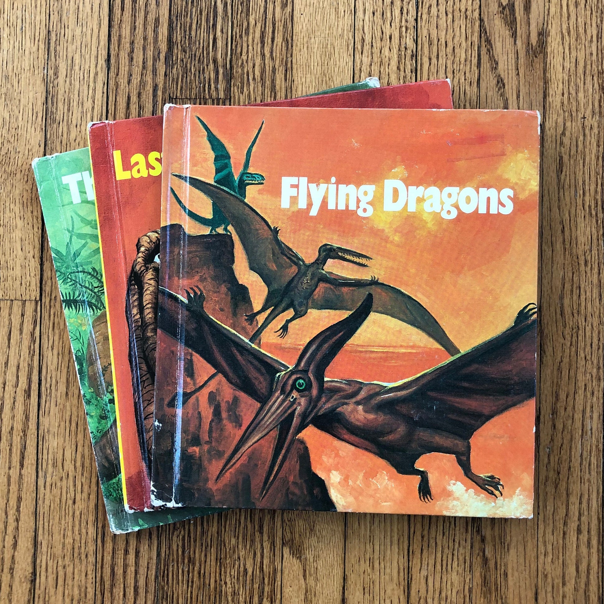 Vintage 80s Dinosaur Books Flying Dragons the Giant - Etsy