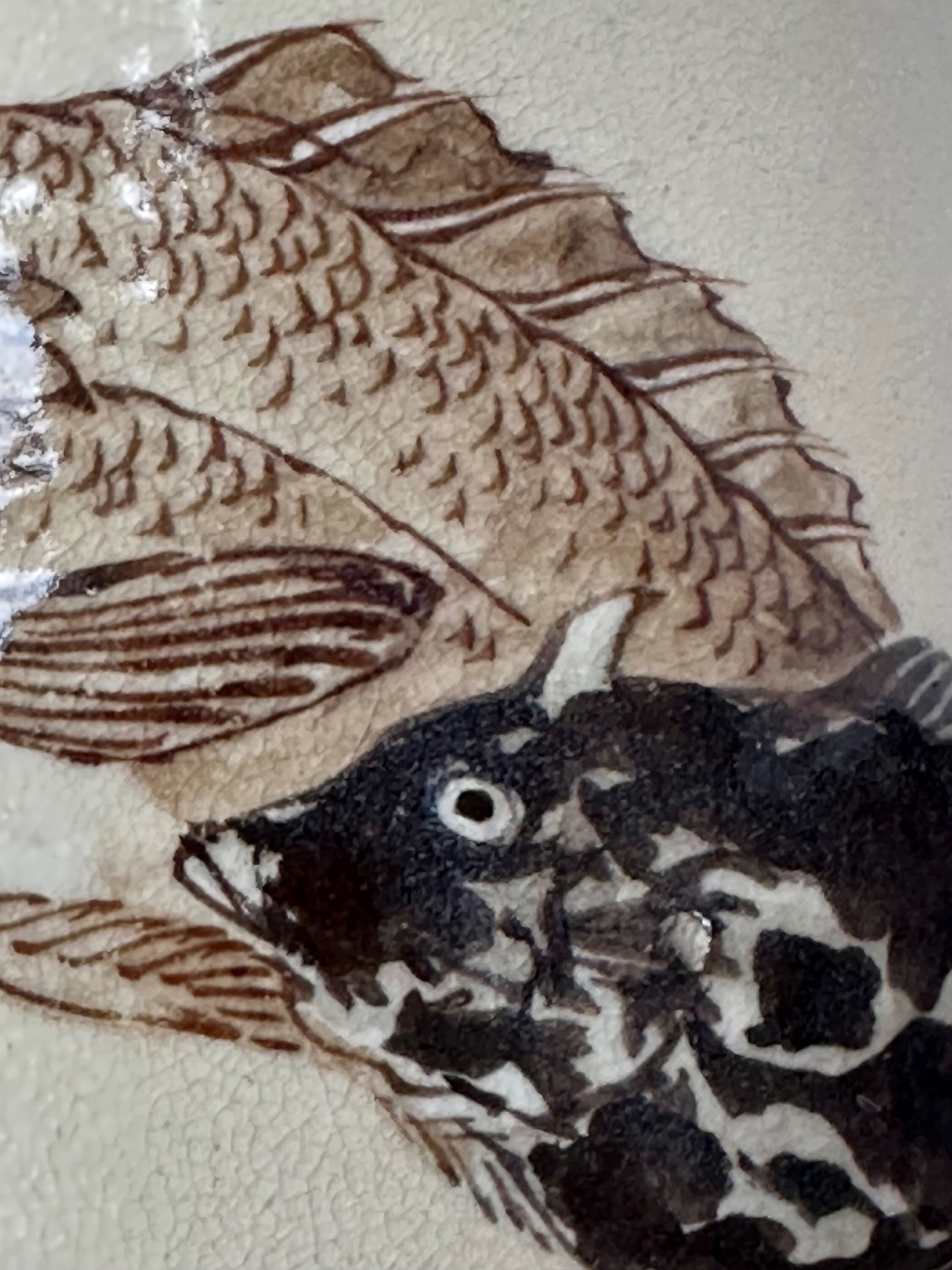 Tanzan Pottery Japan 19th Century Late Edo Early Meiji Period Signed ...