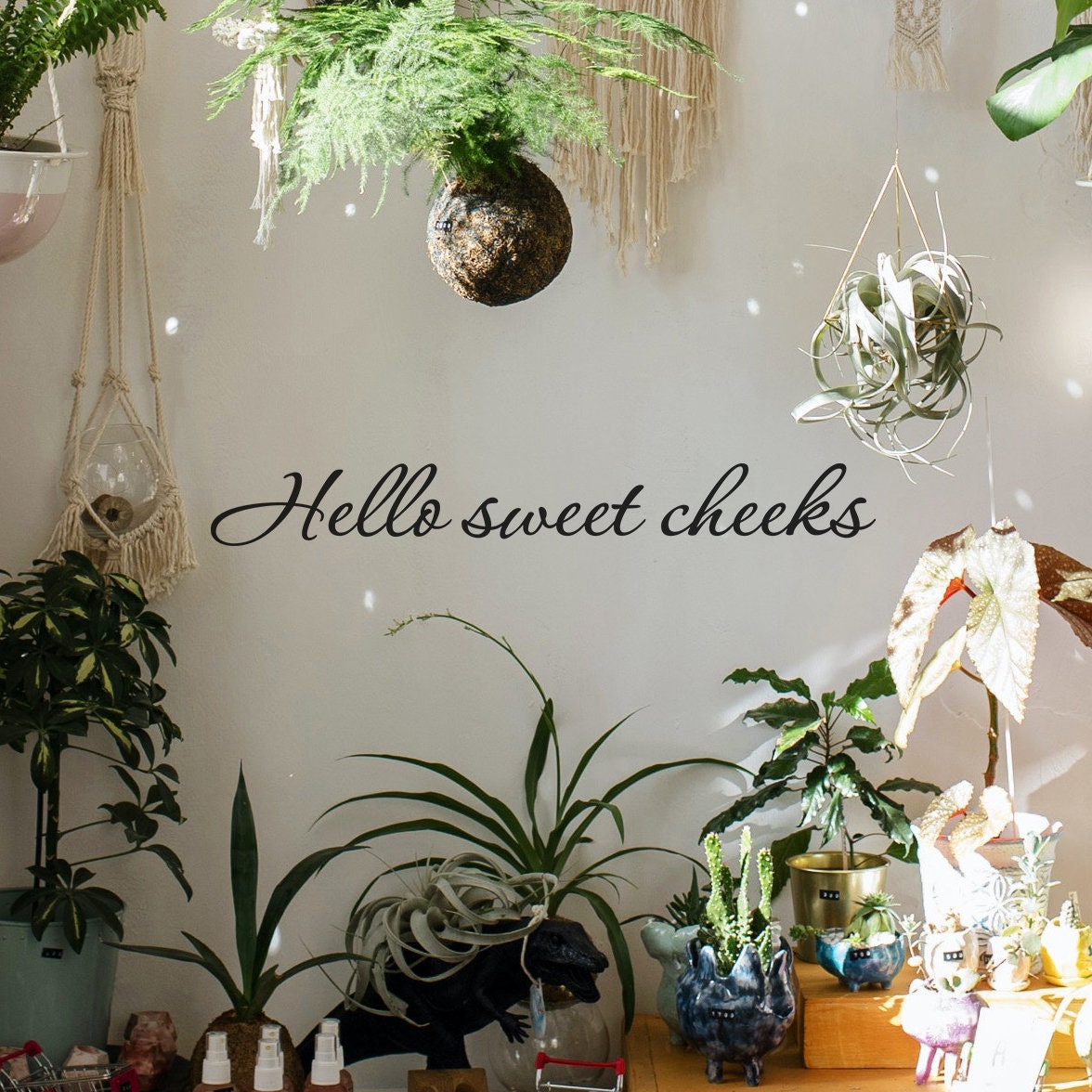 Hello Sweet Cheeks Wall Decal Love Quote Sticker for Bedroom, Bathroom ...