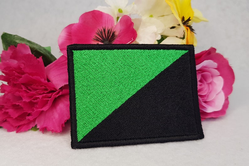 Anarchist eco-anarchism Flag Embroidered Patch. Iron On - Etsy UK