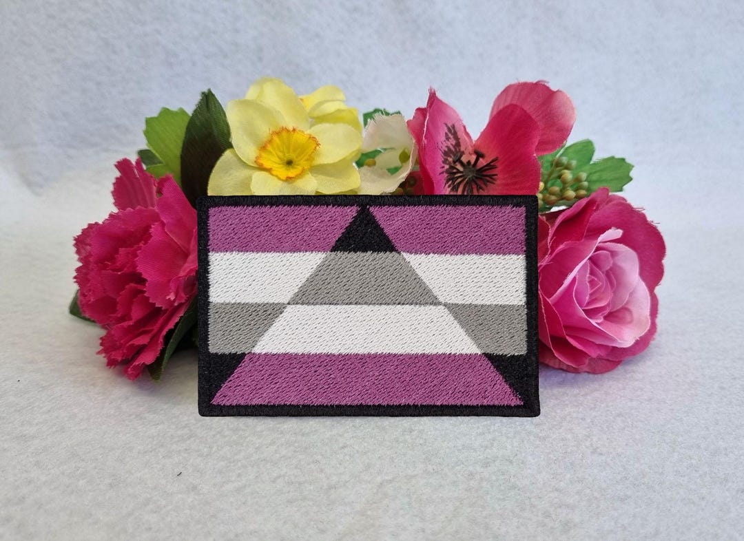 Aegosexual Flag Embroidered Patch. Iron On, Velcro or Sew on Options ...