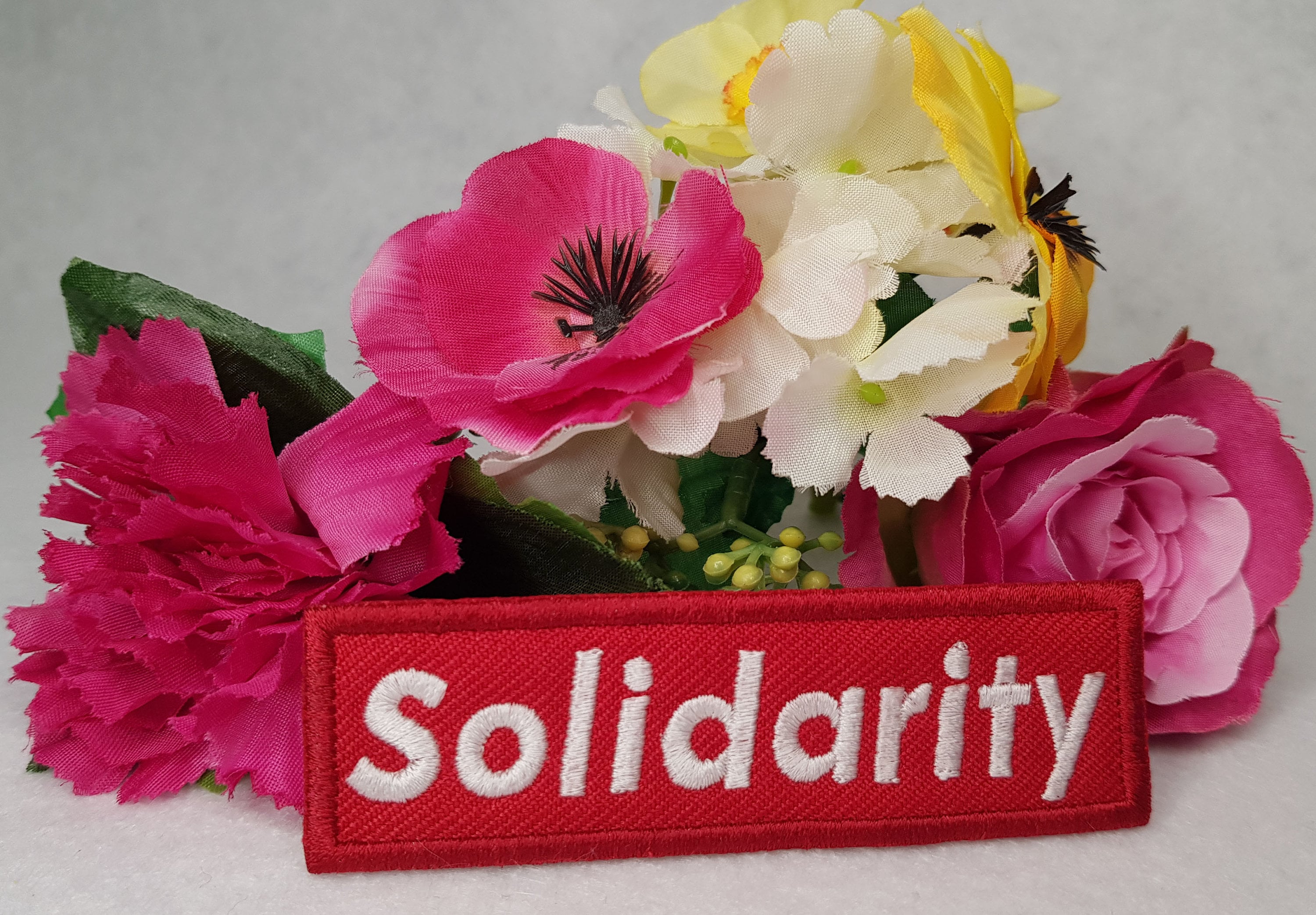 Solidarity Patch. Iron On, Velcro or Sew On! Socialist - Socialism - Etsy