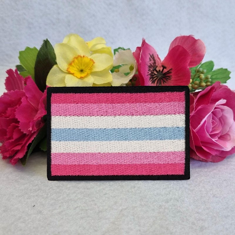 Femboy Flag Flag - Etsy