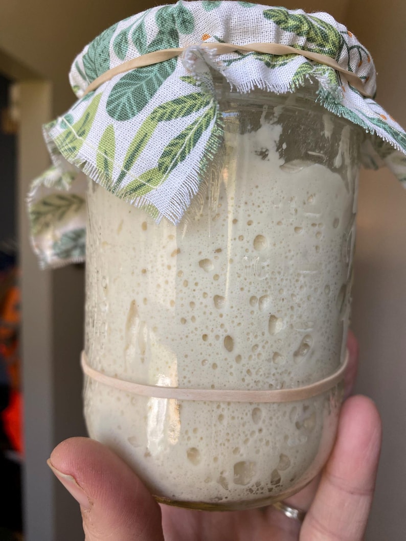 100+ Yr. Old Italy Fresh Sourdough Starter Gift - Beginner Starter ...