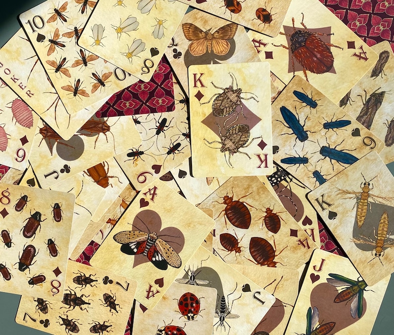 Playing Cards Invasive Insects of Eastern United States - Etsy