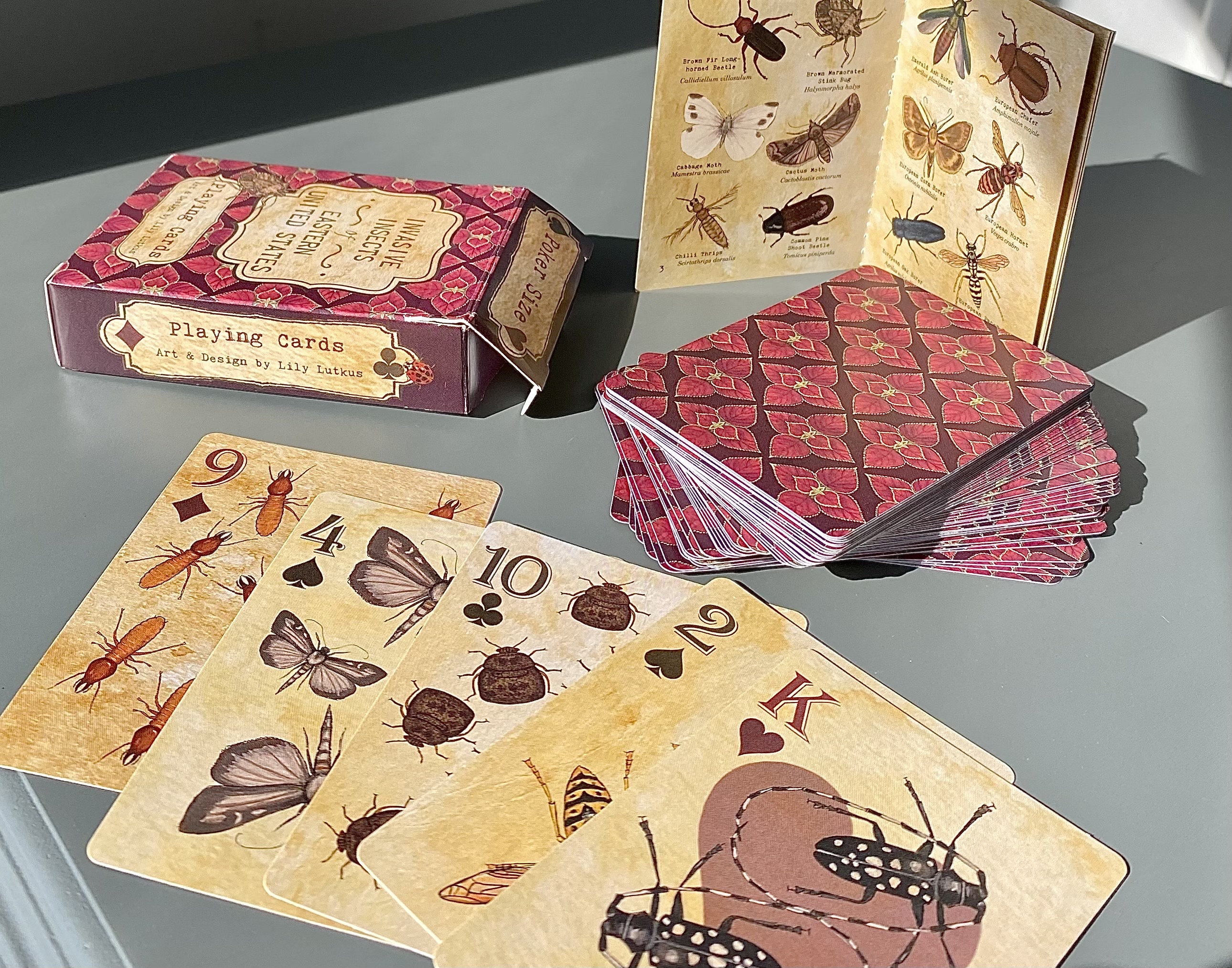 Playing Cards Invasive Insects of Eastern United States - Etsy