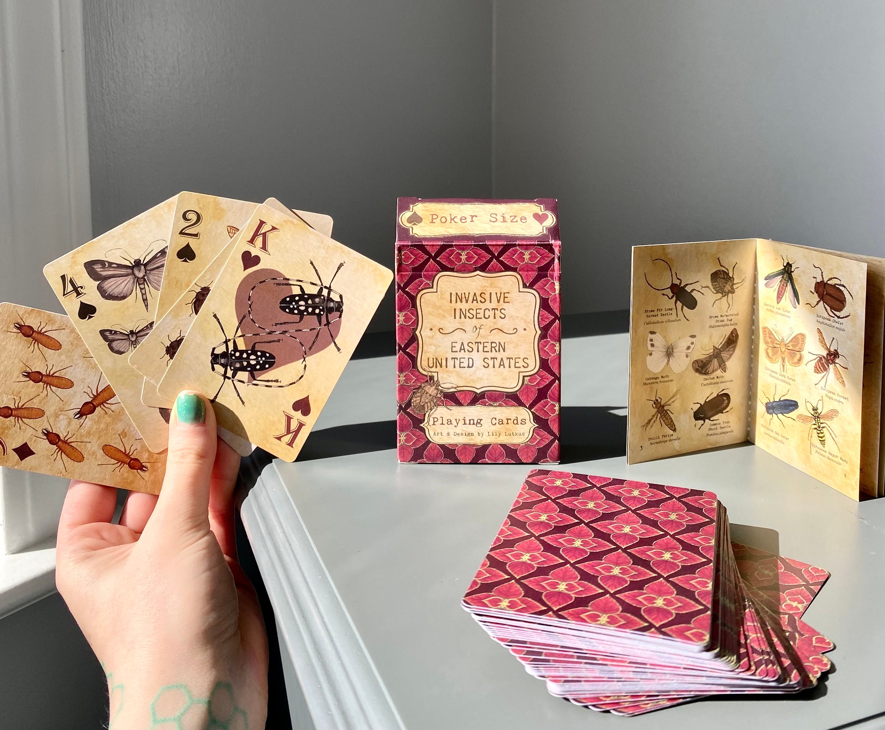 Playing Cards Invasive Insects of Eastern United States - Etsy