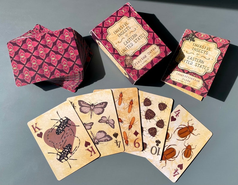 Playing Cards Invasive Insects of Eastern United States - Etsy