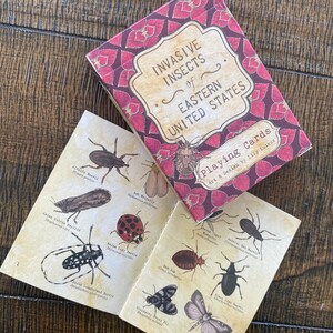 Playing Cards- Invasive Insects of Eastern United States - Etsy