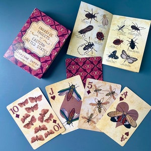 Playing Cards- Invasive Insects of Eastern United States - Etsy