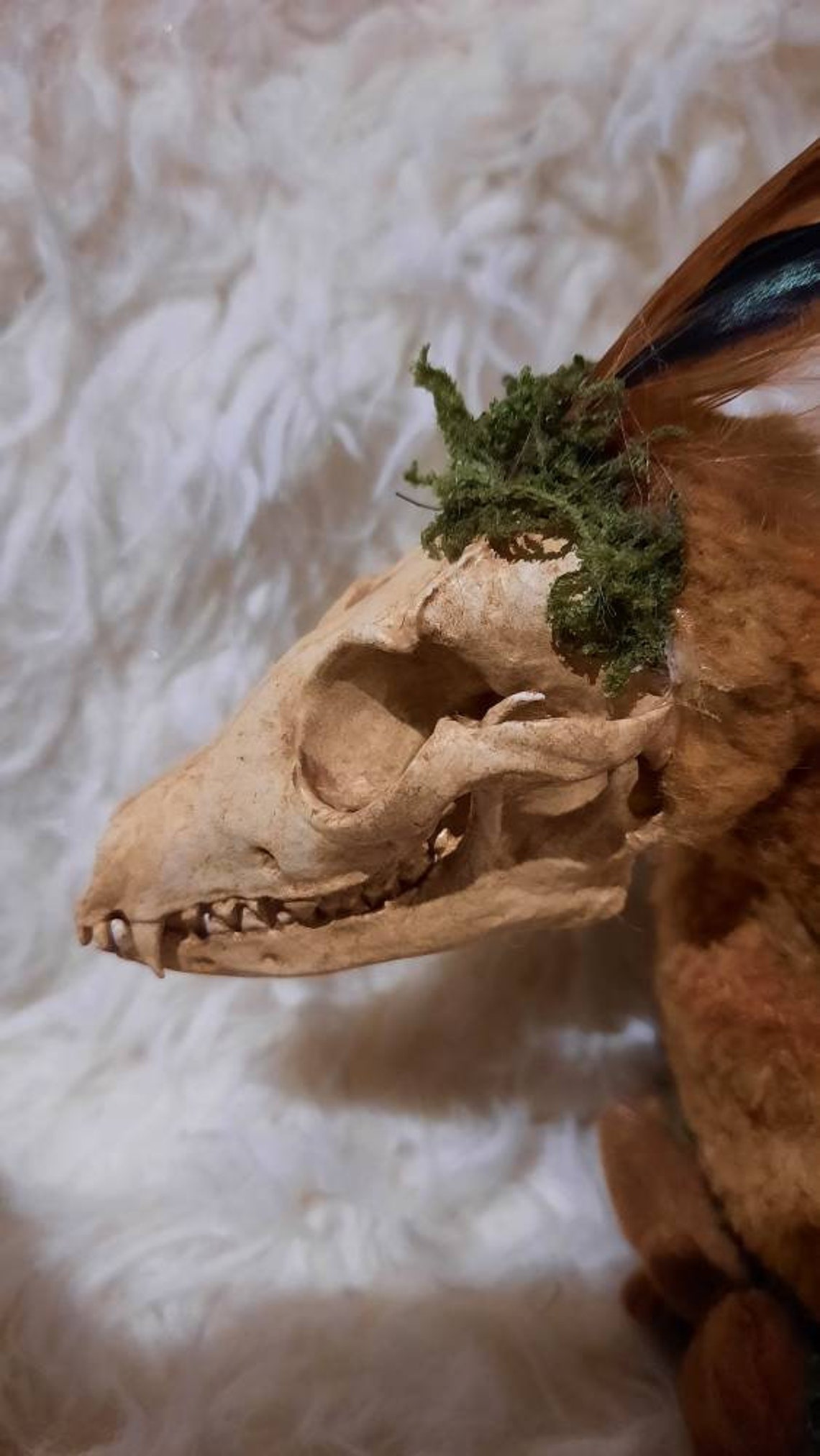 Fake Fox Skull Goth Artdoll - Etsy