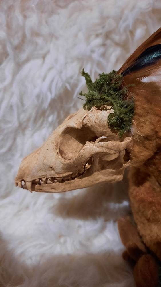 Fake Fox Skull Goth Artdoll - Etsy