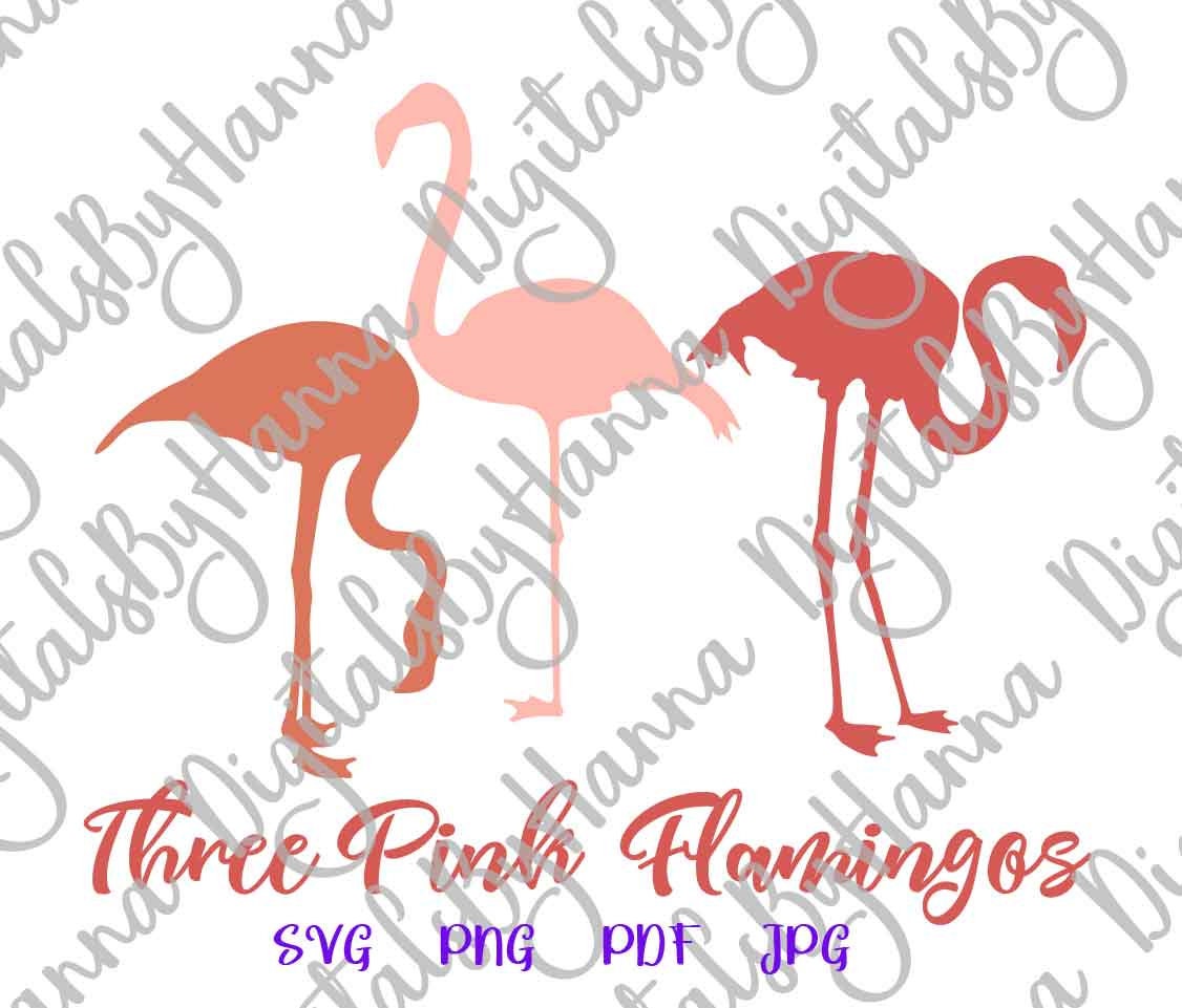 Flamingo SVG Files for Cricut Tropical Birds Clipart 3 Pink | Etsy