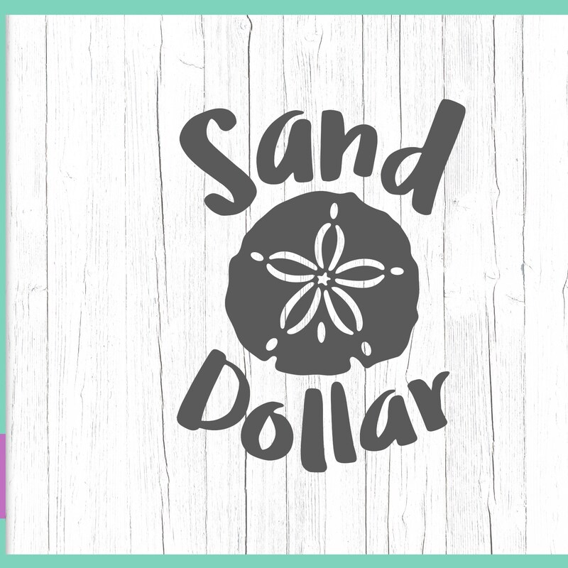 Sand Dollar Clip Art - Etsy