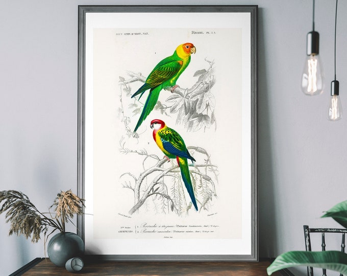 King George Art Print Vintage Abstract Skull Print Royal - Etsy