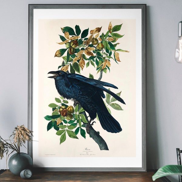 Antique Raven Poster - Etsy