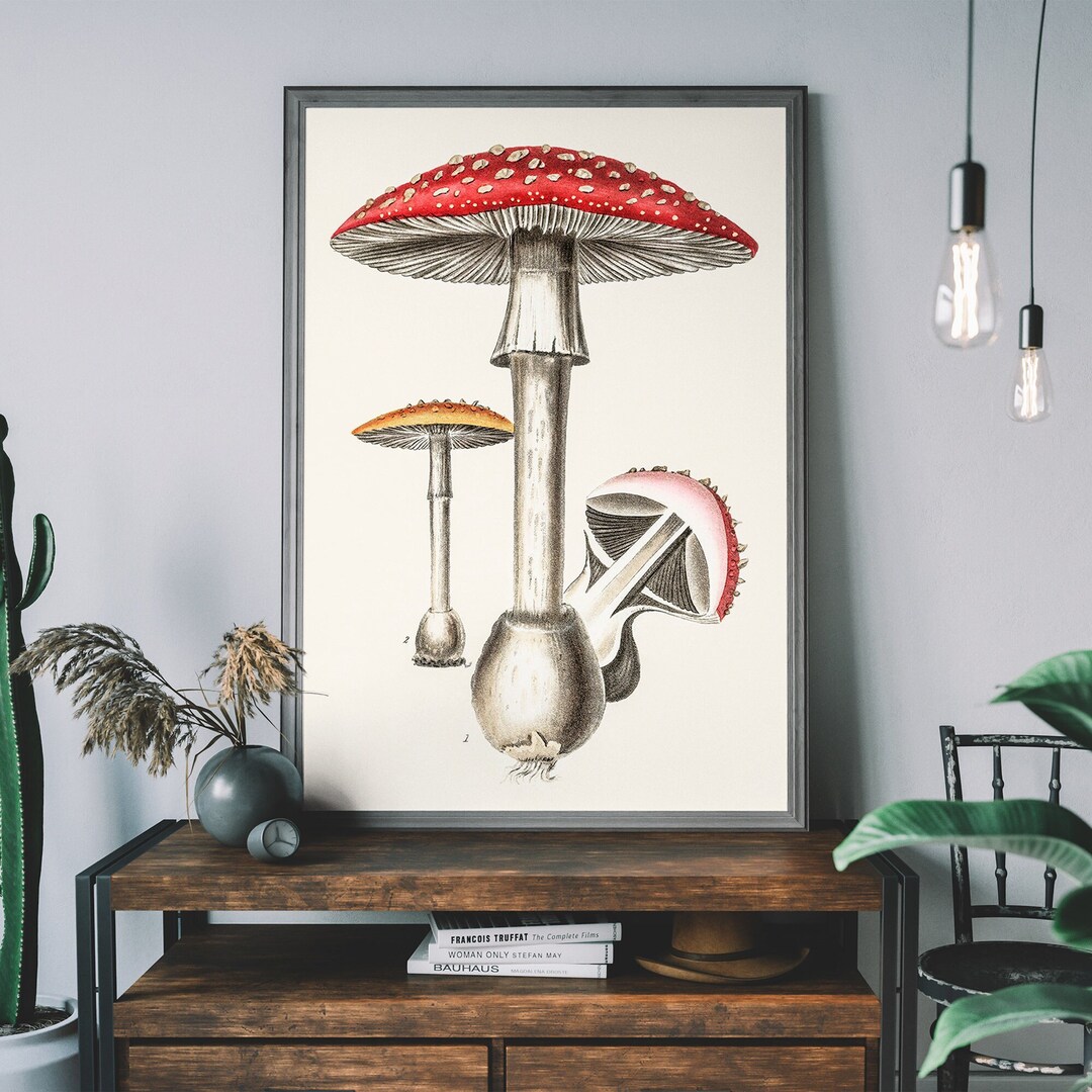 Vintage Red Mushroom Art Print, Toadstool Print, Botanical Fungi Poster ...