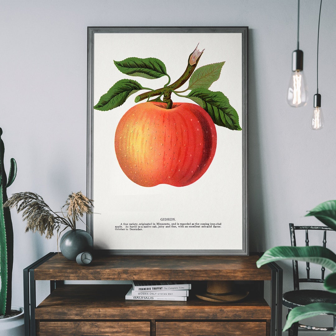 Vintage Gideon Apple Poster – Lithograph Print, Antique Botanical Art ...