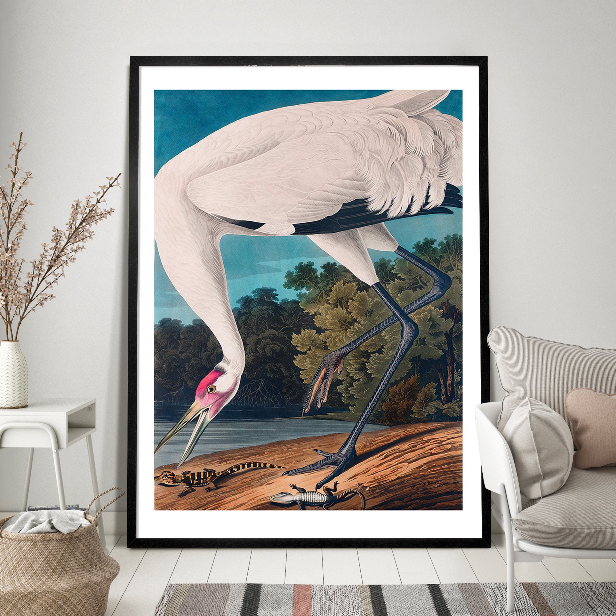 Audubon Whooping Crane Print — Antique Bird Wall Art - Etsy UK