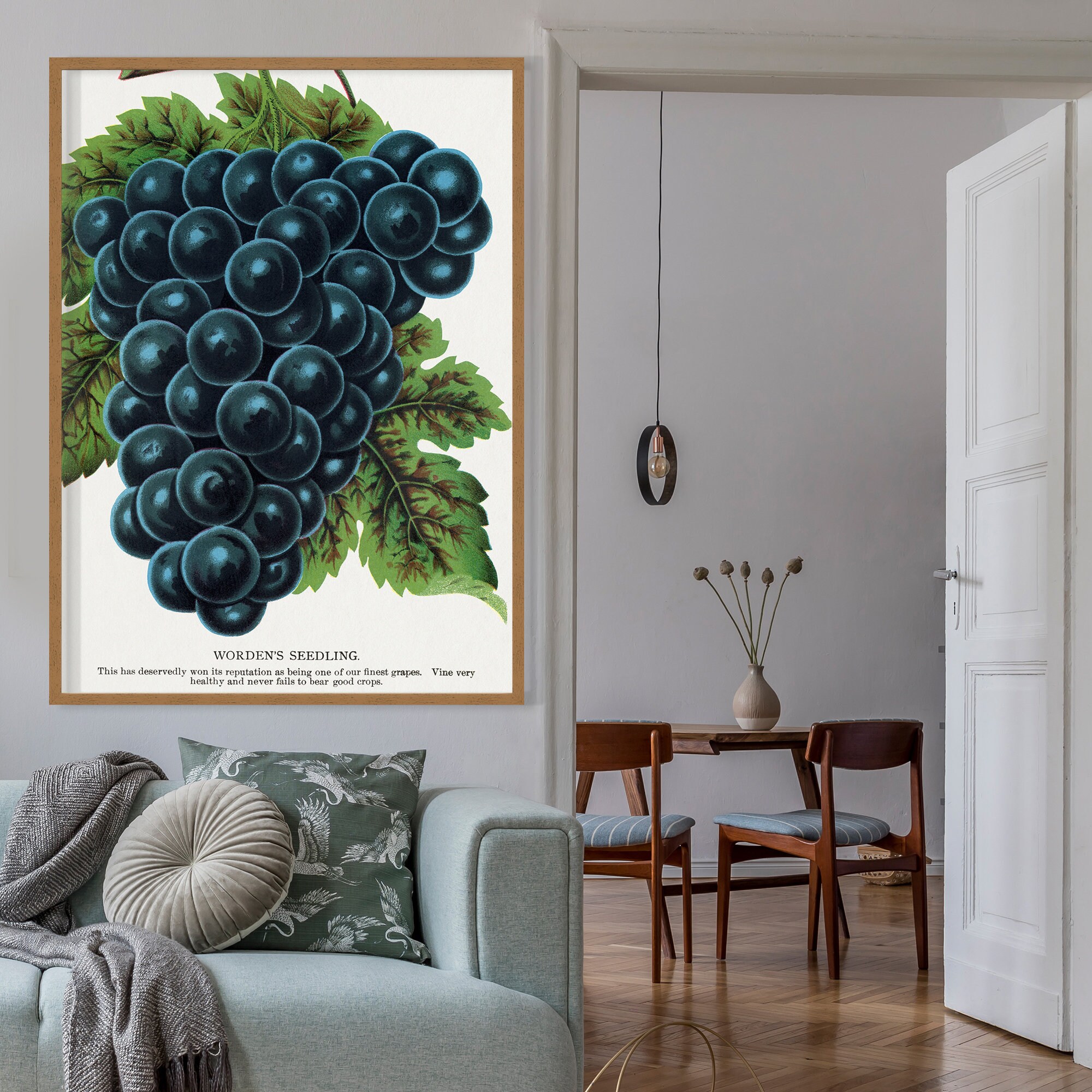 Vintage Grapes Poster, Lithograph Print, Antique Botanical Art Print ...