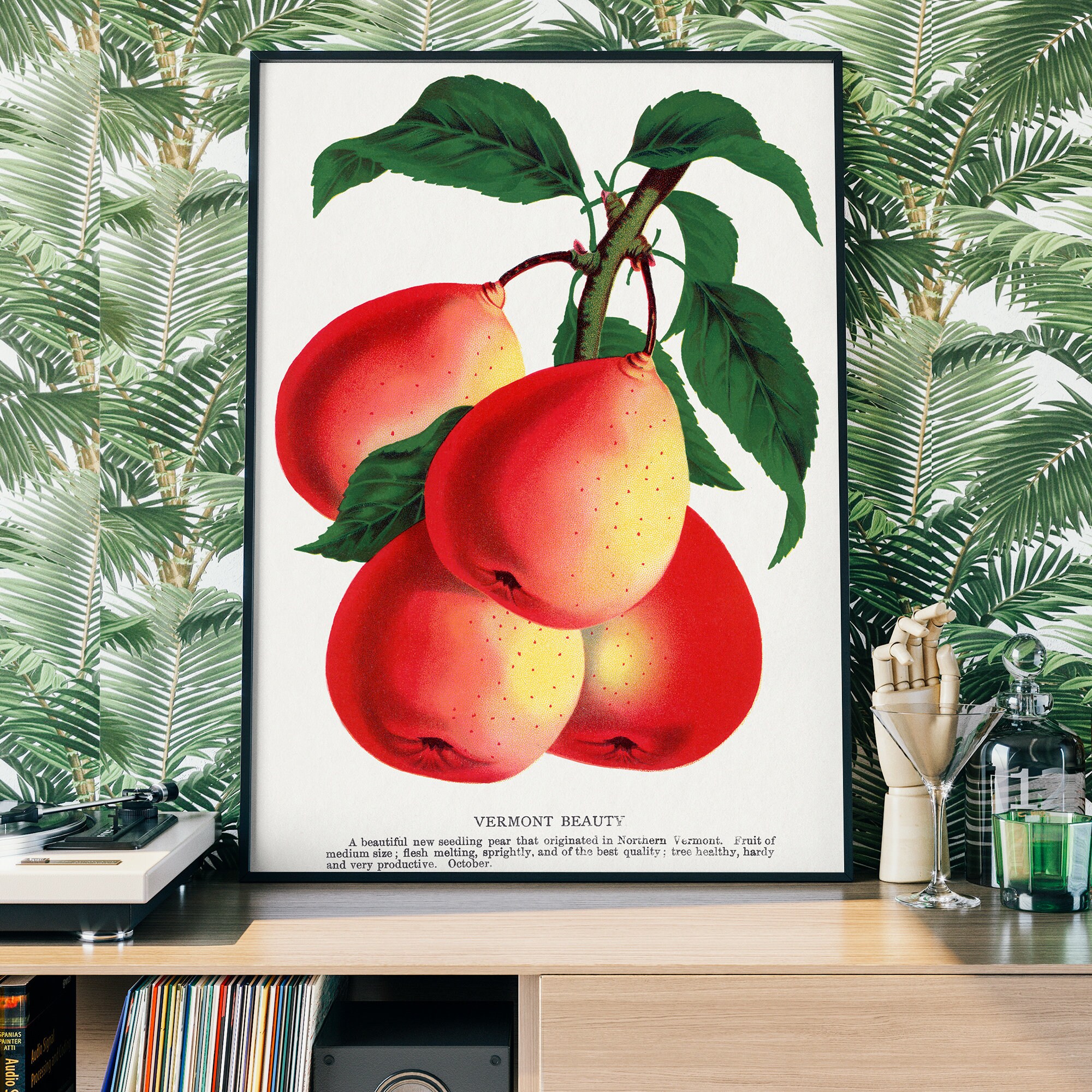 Vintage Pear Poster, Lithograph Print, Antique Botanical Art Print ...