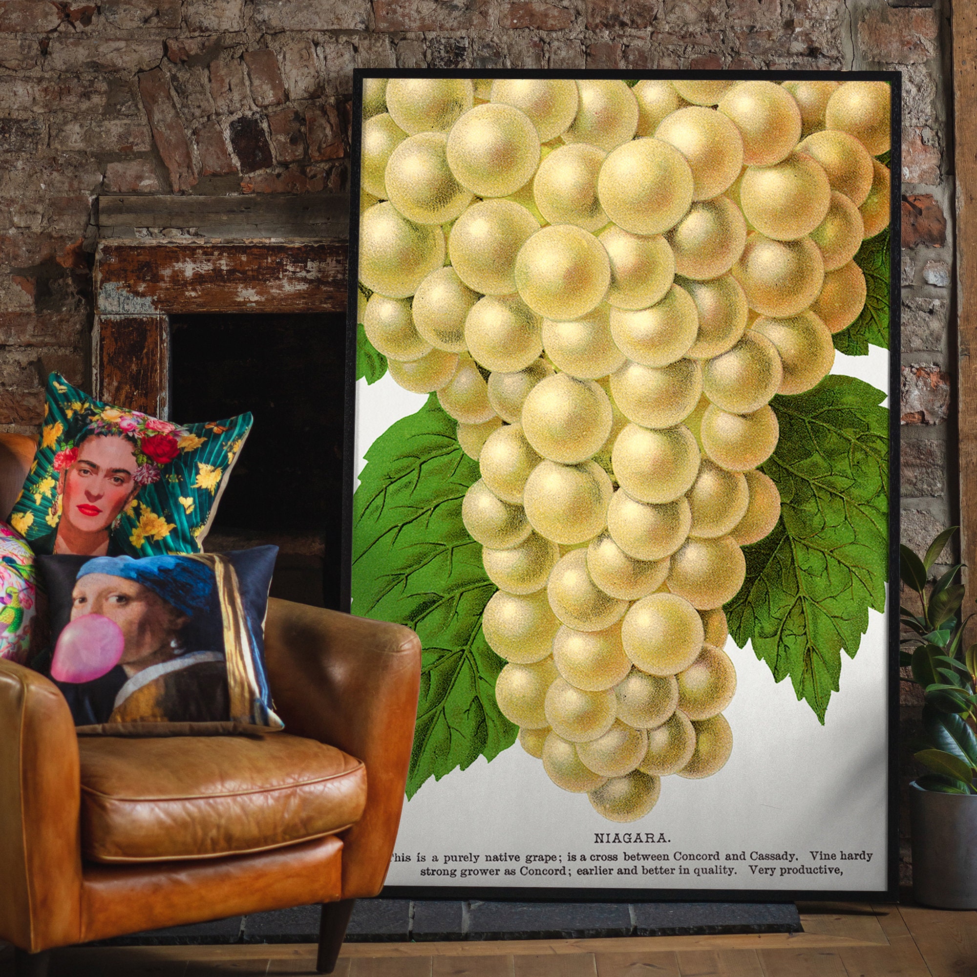 Vintage Grapes Poster, Lithograph Print, Antique Botanical Art Print ...
