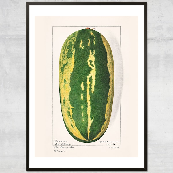 Lithograph Print - Etsy