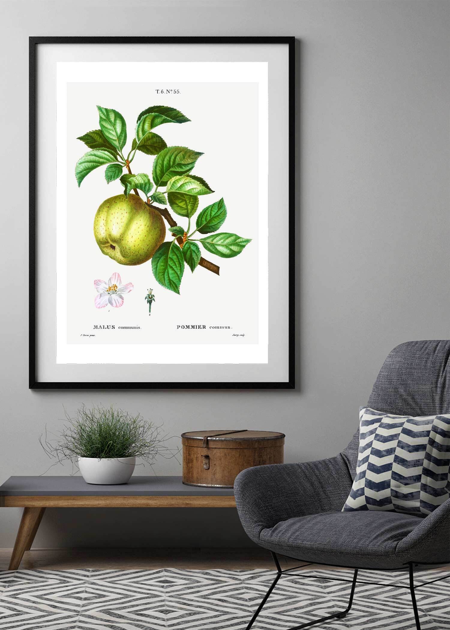 Vintage Apple Poster – Lithograph Print, Antique Botanical Art, Fruit ...