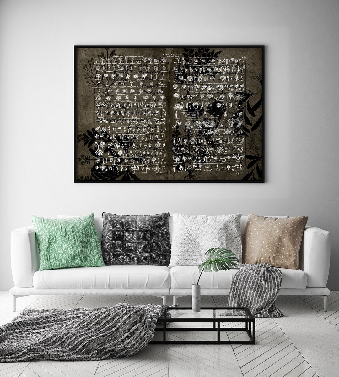 Botanical Wall Chart – Botany Poster, Antique Botanical Print, Herb ...