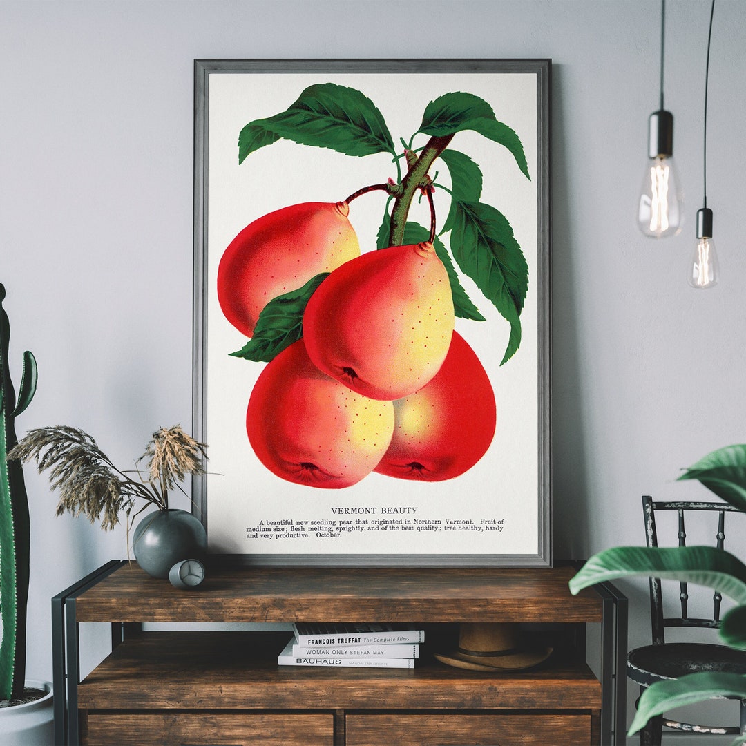 Vintage Pear Poster, Lithograph Print, Antique Botanical Art Print ...